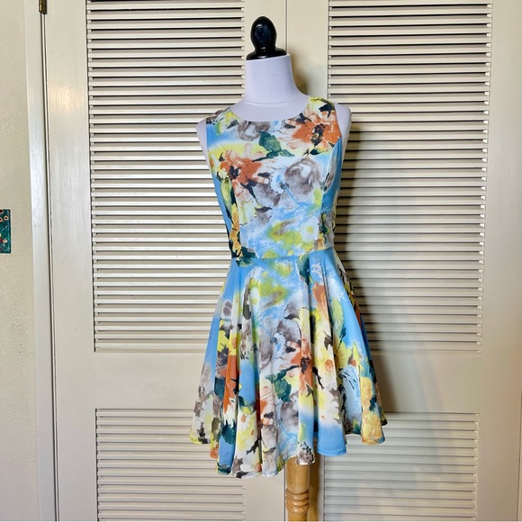 Sans Souci | Dresses | Sans Souci Giant Floral Mini Skater Dress | Poshmark